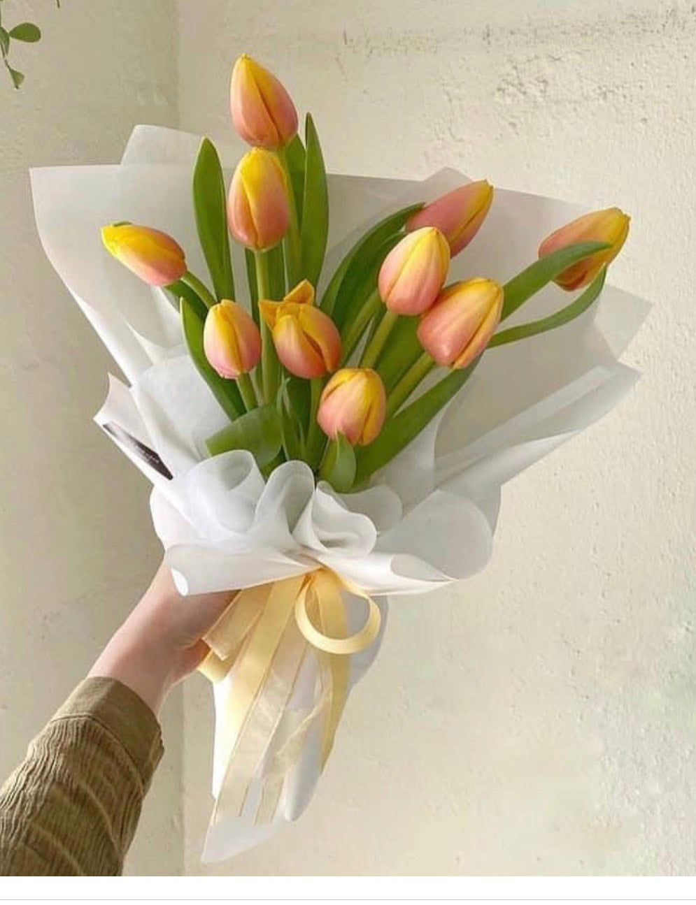 Tulip Kisses The Floristry
